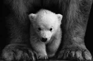 Klimawandel - Alles über die globale Erwärmung • CareElite