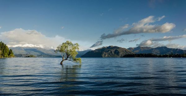 Klimawandel - Alles über die globale Erwärmung • CareElite