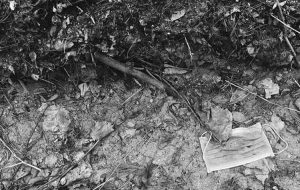 Littering - What is meant by littering? - CareElite