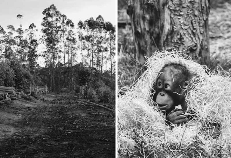 Inconsistent behavior: 10 examples - CareElite